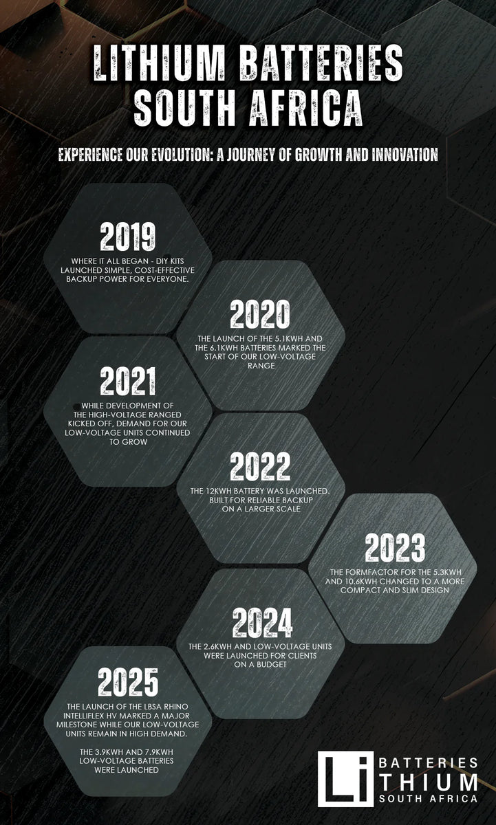 Our Journey in Power: From DIY Kits to High-Voltage Solutions – Lithium ...